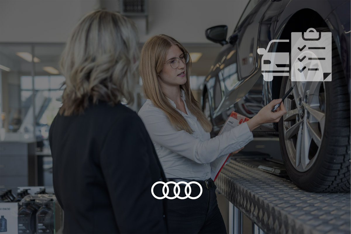 110 Punkte Check Audi